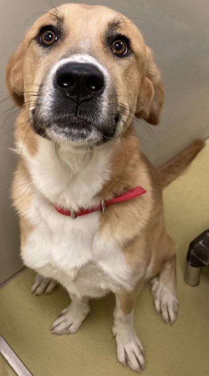 The latest news for you