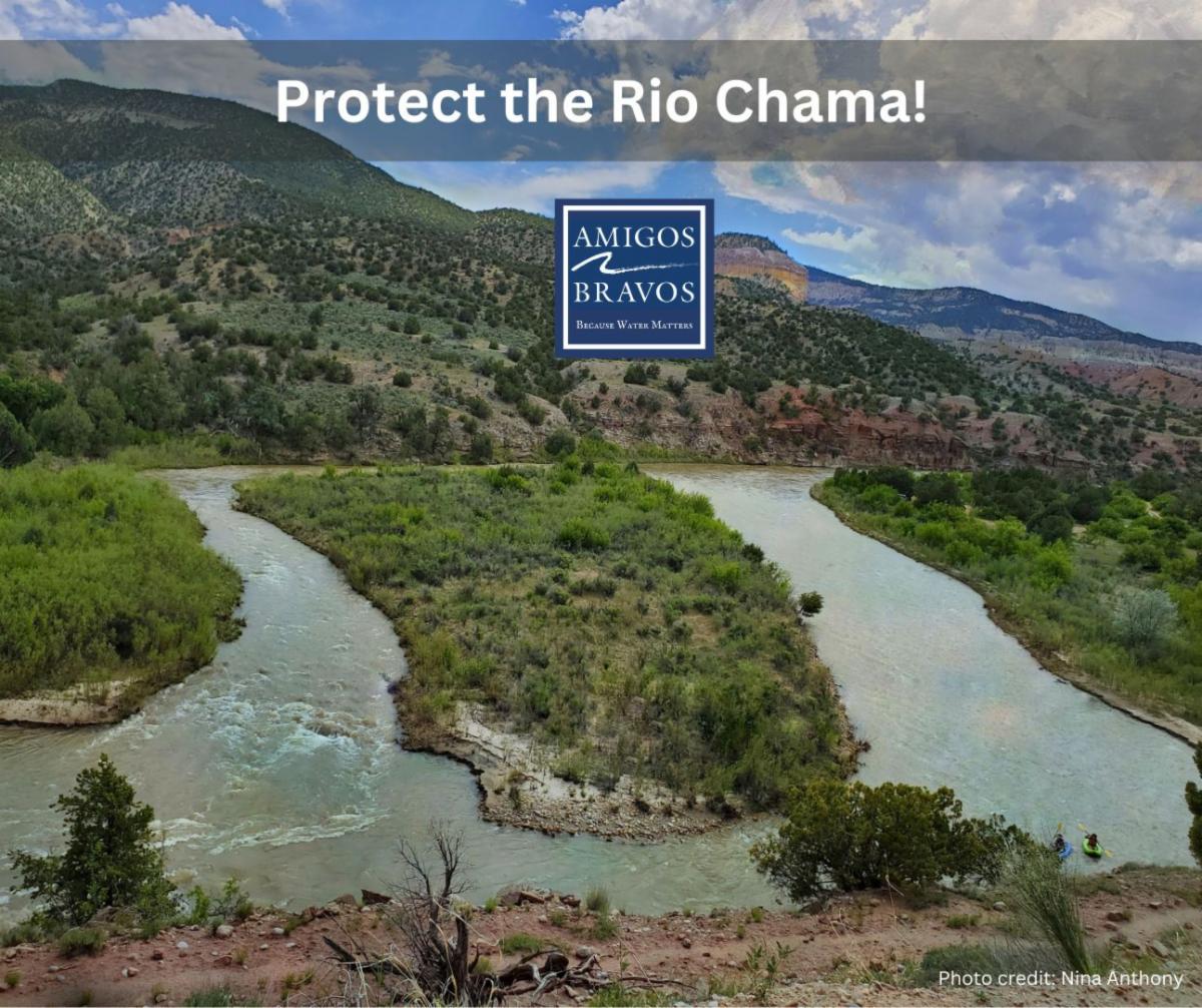 Action Alert | Protect the Rio Chama Ecosystem!