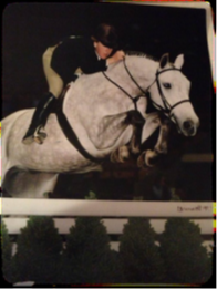 MHSA October Newsletter