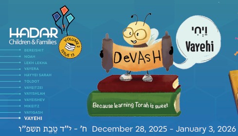 Our 2025 Year in Review!