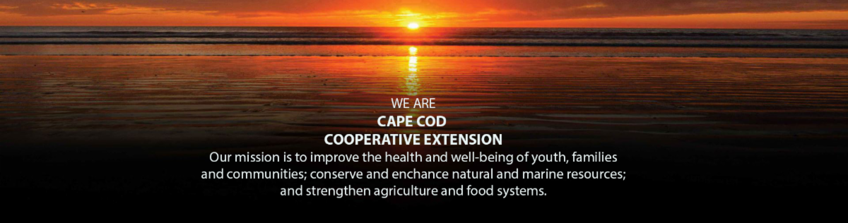 Cape Cod Cooperative Extension January 2022 Newsletter