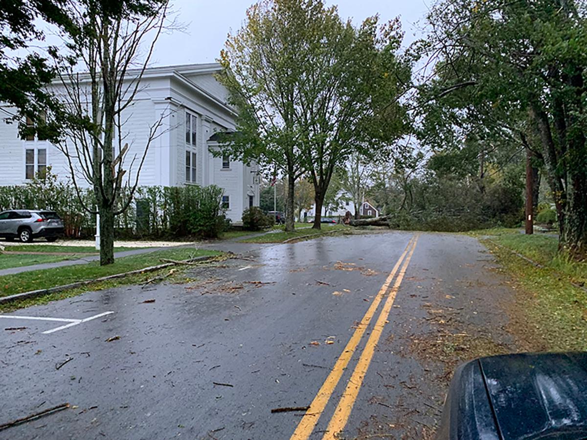 Cape Cod Cooperative Extension January 2022 Newsletter