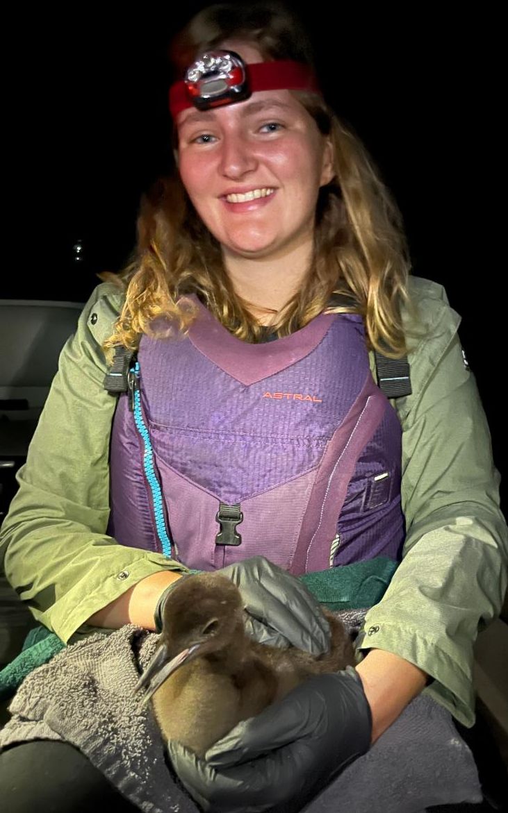 Loon Preservation Committee Month at a Glance
