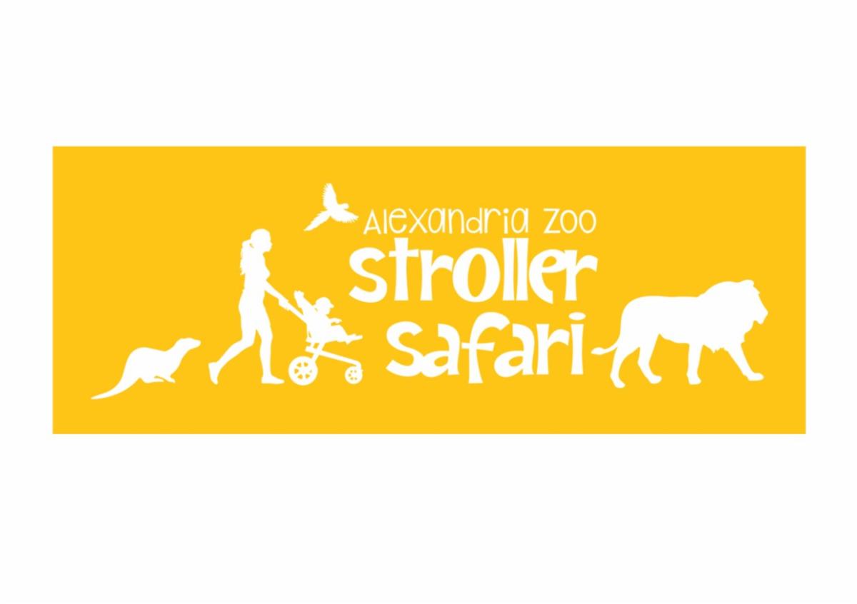 Stroller Safari