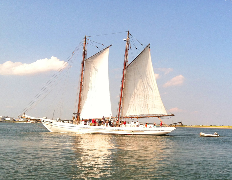 🏖️🏖️🏖️What's Happening in Cape May: June 2026 🏖️🏖️🏖️