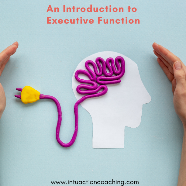 An Introduction to Executive Function