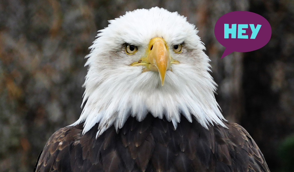 Know Before You Go: Walk with Wildlife Guide