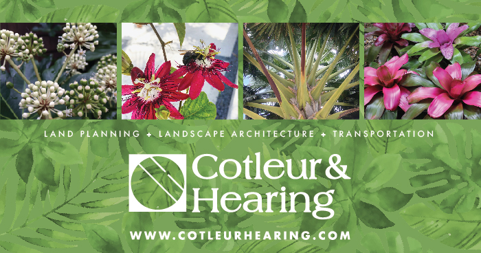 July Plant of the Month