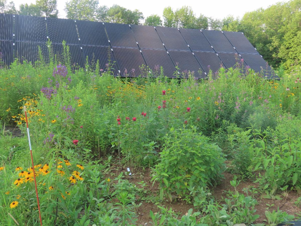 OCC Newsletter May 2022 Edition