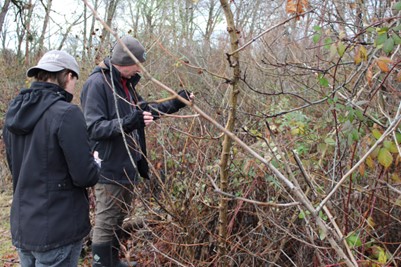 NACD Forestry Notes: Jackson SWCD Leads Riparian Restoration in Oregon