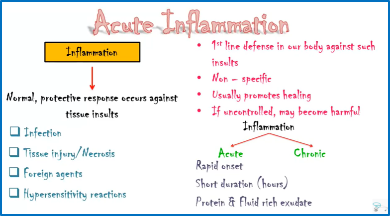 Acute Inflammation - Definition, Pathogenesis, Causes, Mediators ...