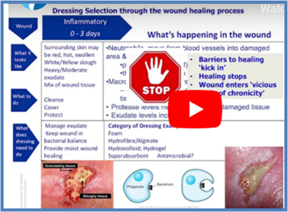 Understanding Wound Dressing Categories and Indications + New Wound ...