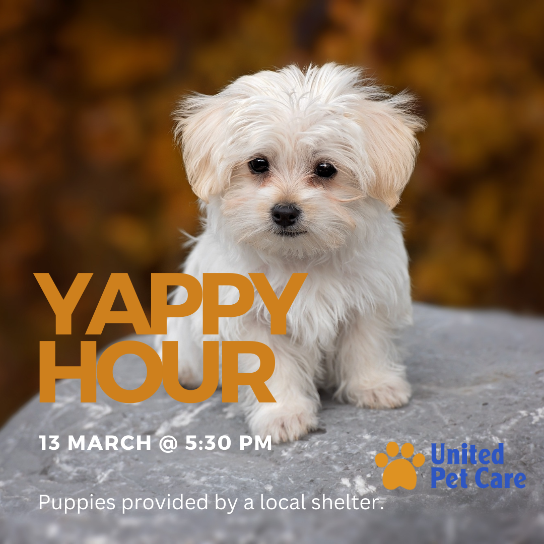 Did Someone Say Puppies?! Join Us for "YAPPY HOUR" at Technology Day!