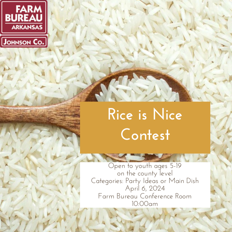 February 4-H Newsletter