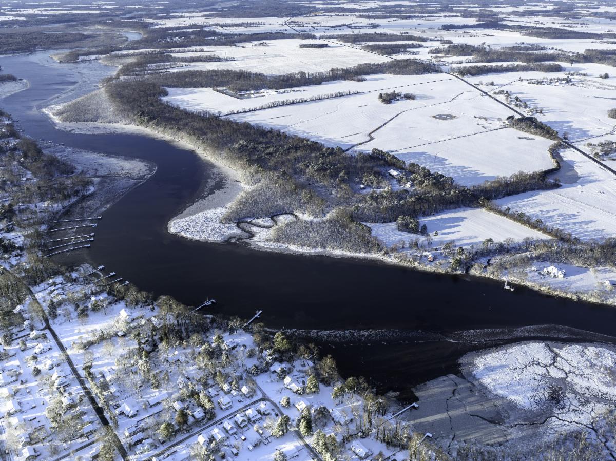 Caroline Monthly: February 2024