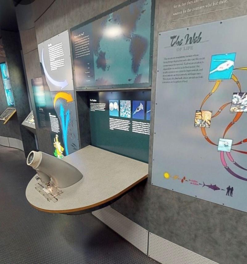 Your 2023 February Sonar Echo 🥇🥇