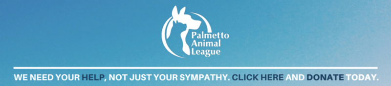 Your Support is Desperately Needed