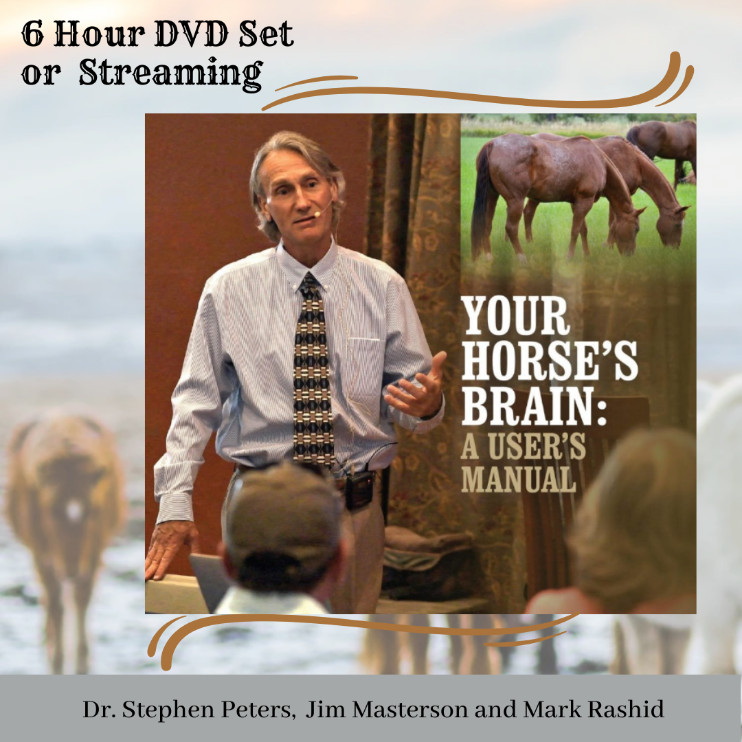 Masterson Method January 2023 Newsletter