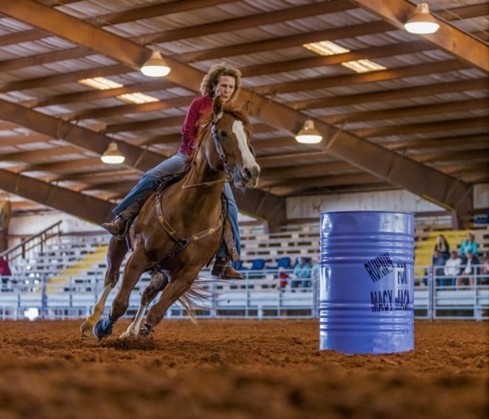 Book Life, Barn Life, My Life!