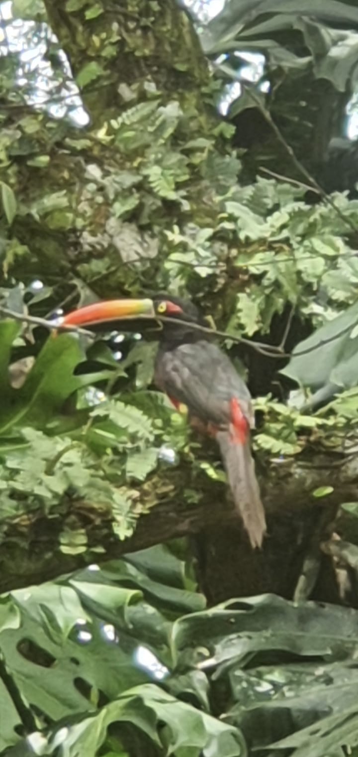 Retreat Invitation extended til July 1