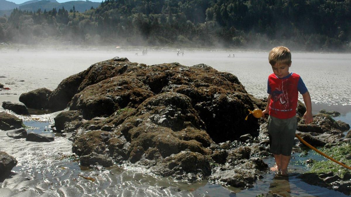 Summer is Sensational on the Olympic Peninsula