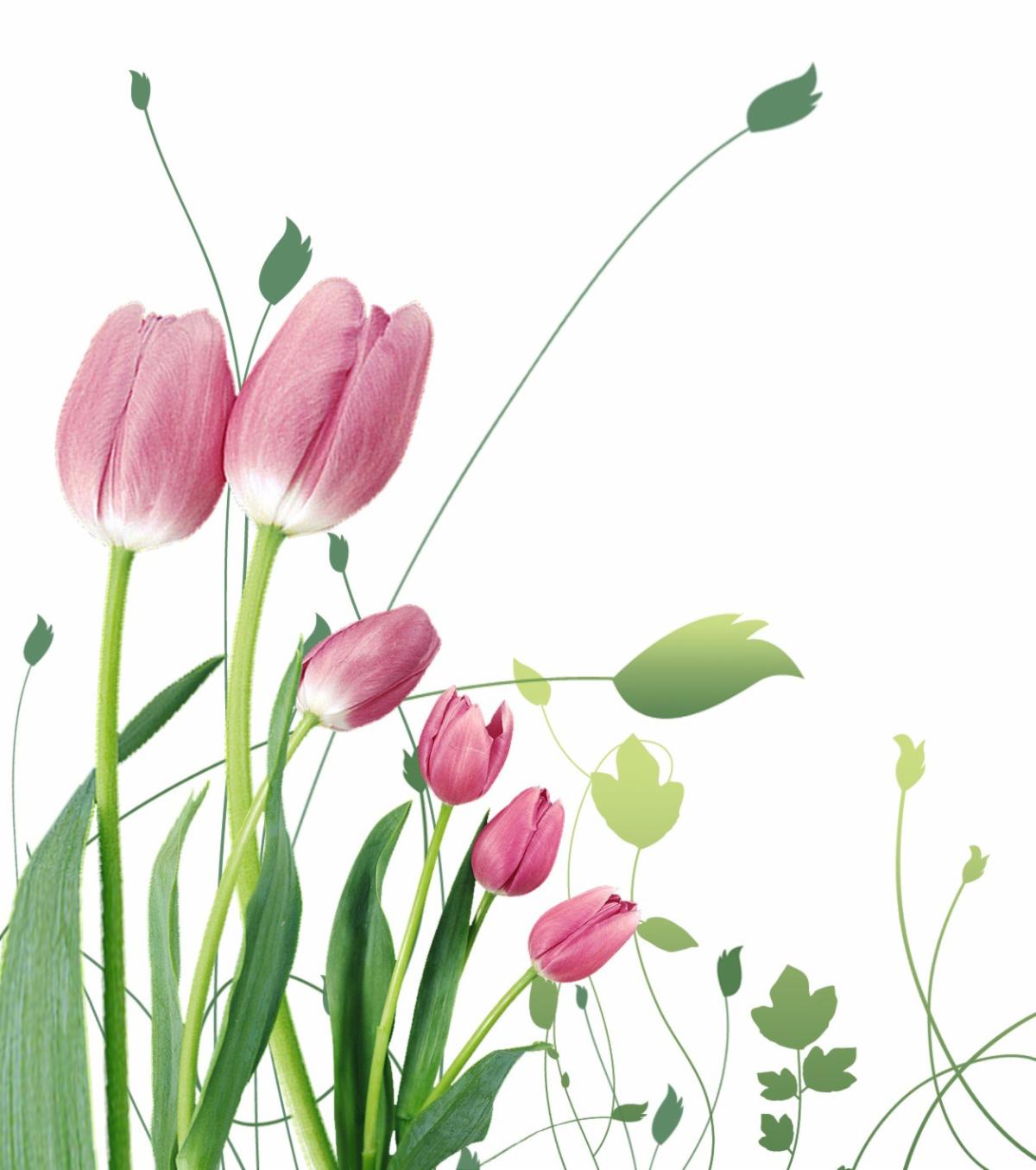 Resurrection Connection