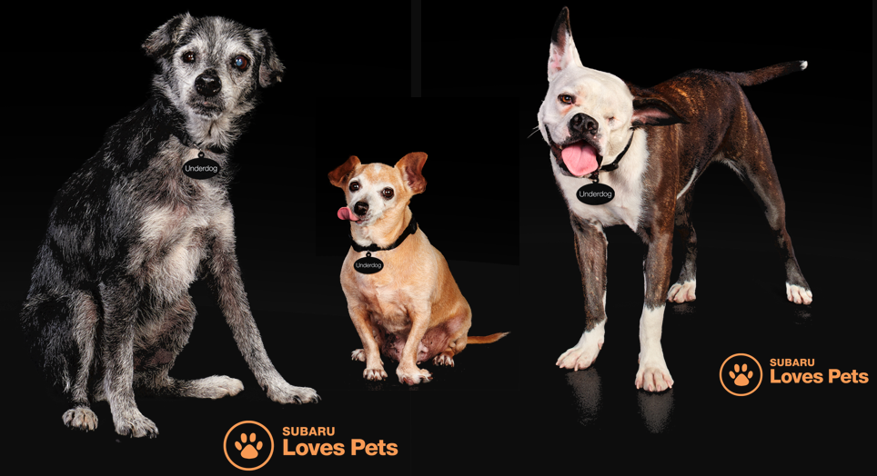 The Paw Print - Humane Educational Society Newsletter