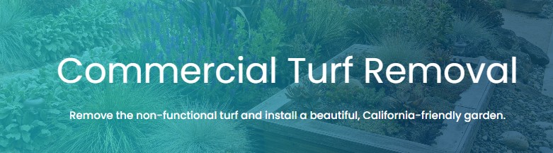 HOA Newsletter Issue No. 12