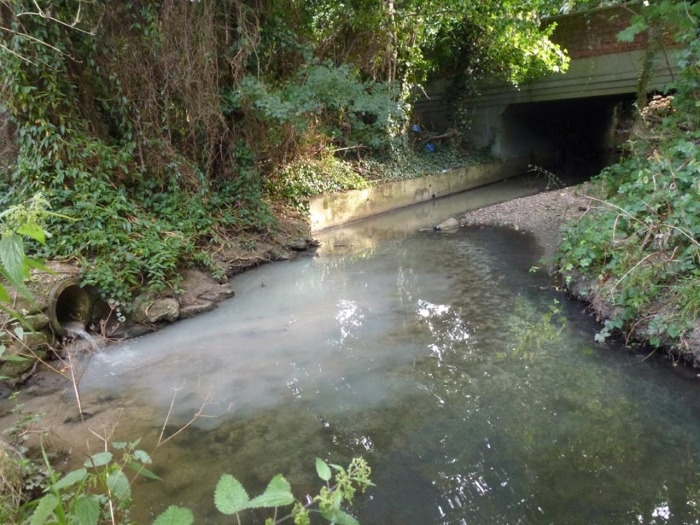 Hayes Town News - Pharmacists ready and waiting