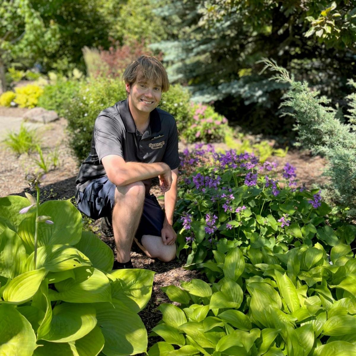 Top 6 Tried & True Perennials