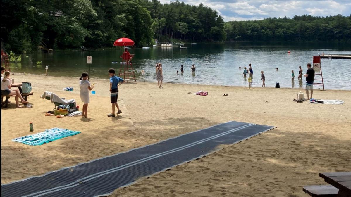 Beede Center June 2025 Newsletter
