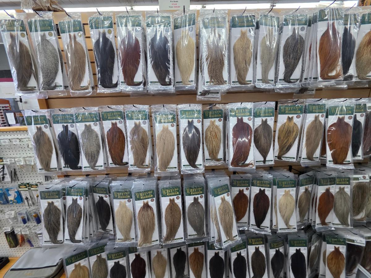 Don't Miss Out! 1000+ New Whiting Hackle In Stock!