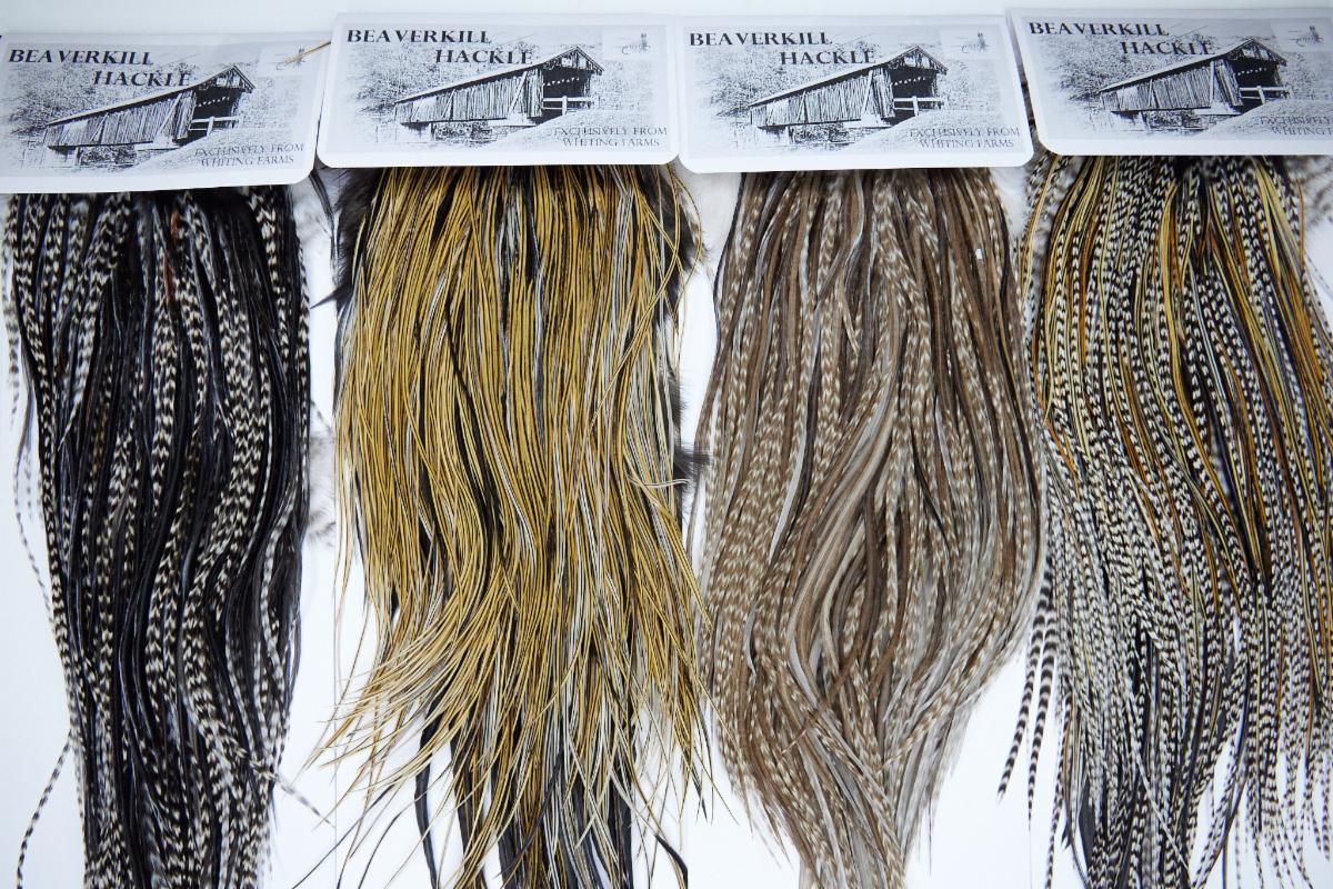 Don't Miss Out! 1000+ New Whiting Hackle In Stock!