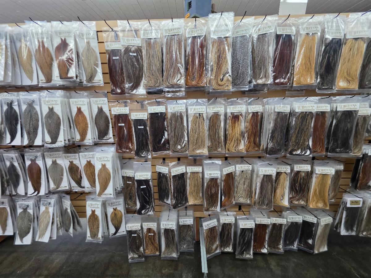 Don't Miss Out! 1000+ New Whiting Hackle In Stock!