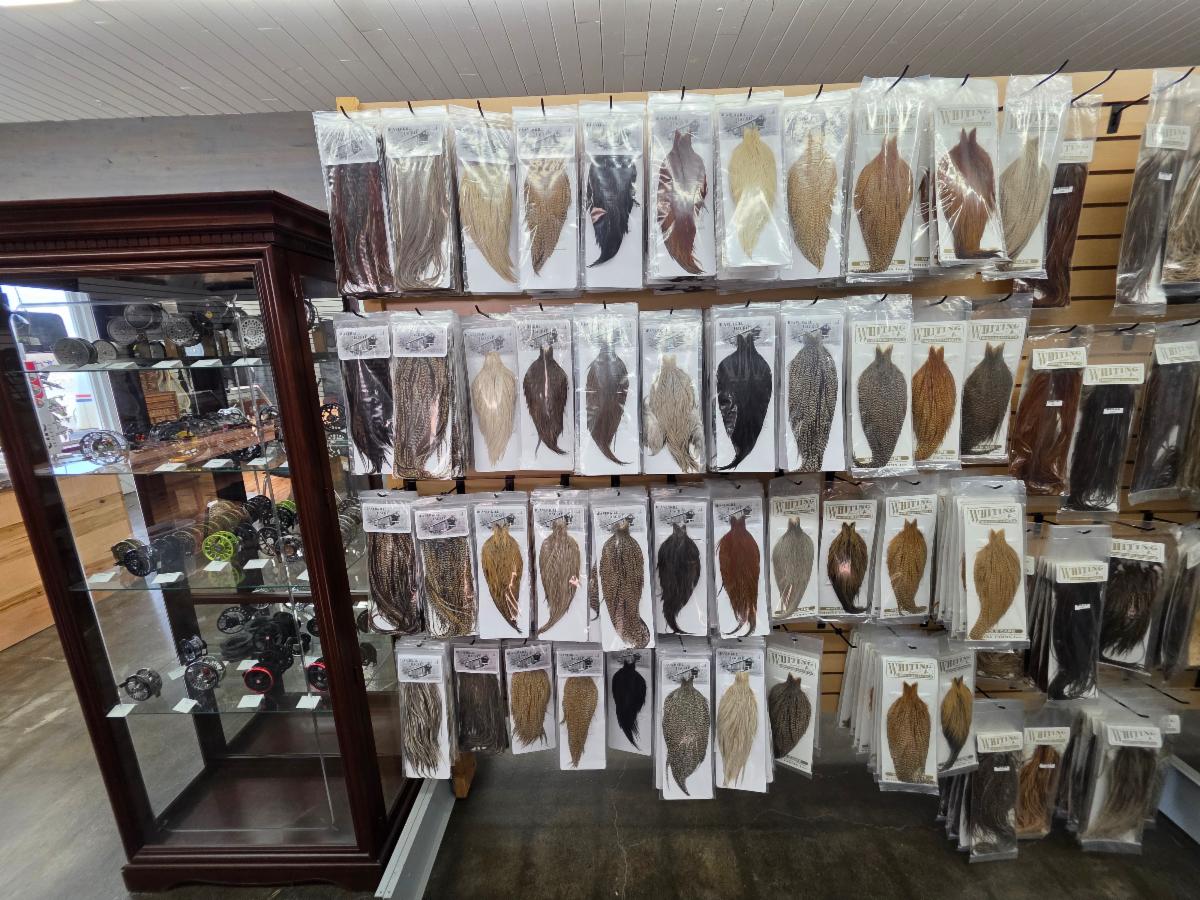 Don't Miss Out! 1000+ New Whiting Hackle In Stock!