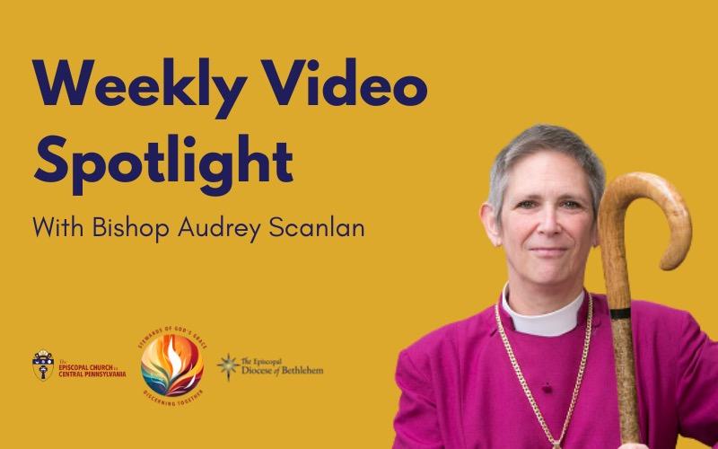 News from the Diocese & Weekly Spotlight Video – March 21