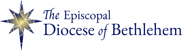 News from the Diocese & Weekly Spotlight Video – July 3