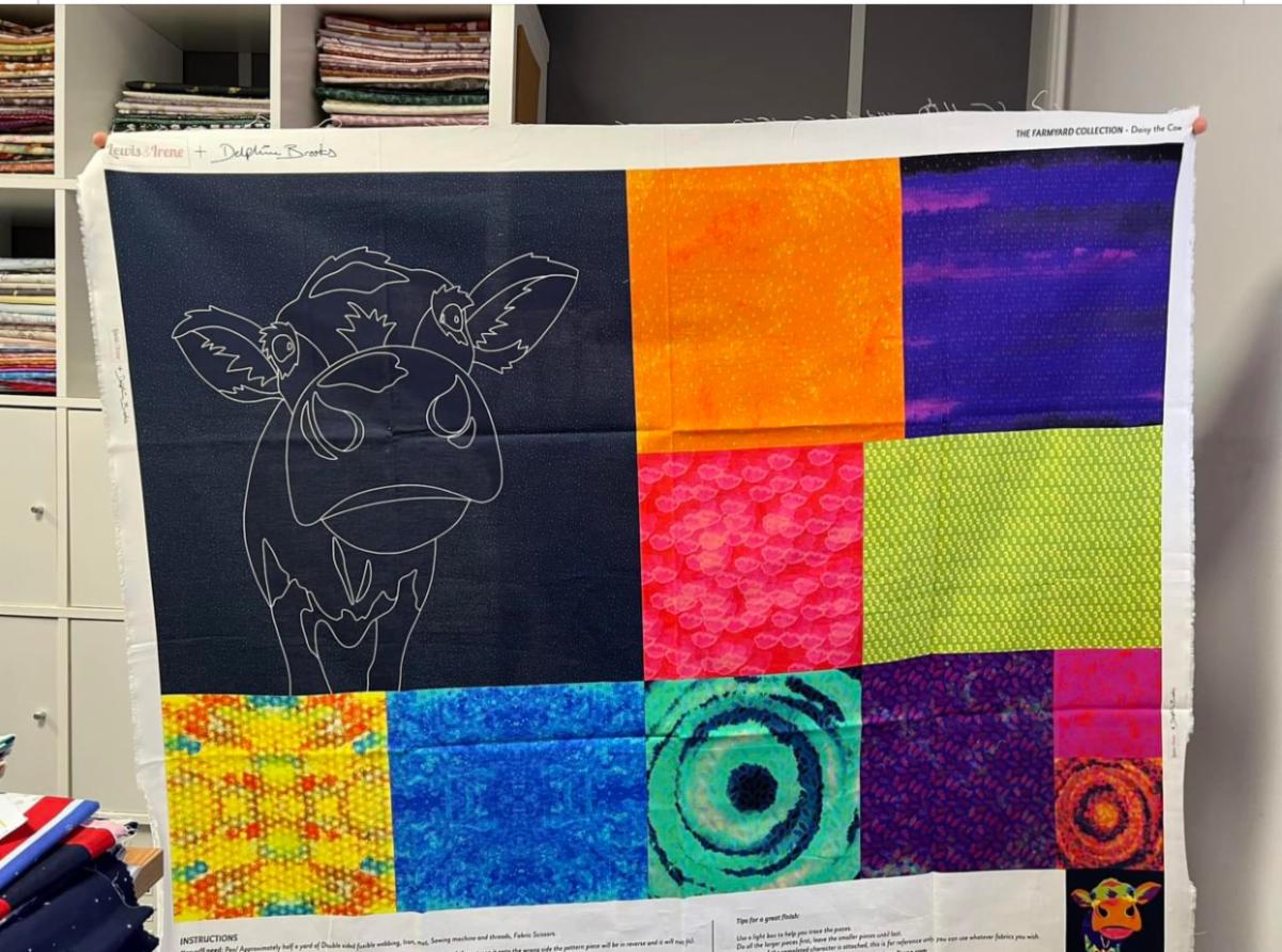 BRILLIANTLY SIMPLE APPLIQUÉ PANELS from Delphine Brooks and Lewis ...