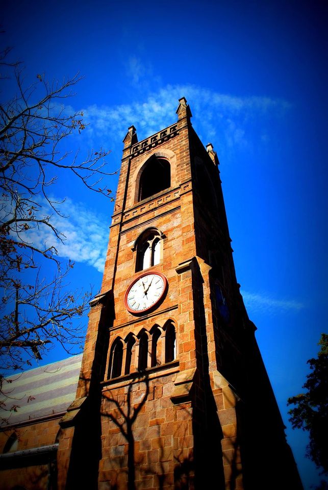 Weekly Update -January 12 - 18, 2026