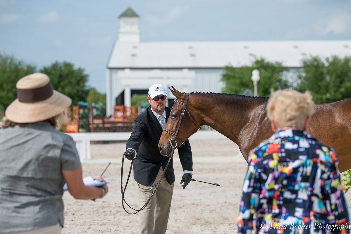 Your April USHJA News and Updates are Here!