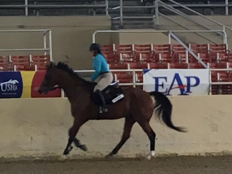 LA Equestrian Center Hosts Joe Fargis, Anne Thornbury and 20 USHJA ...