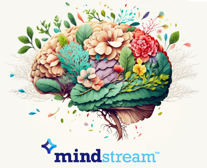 LWVI HR July 2024 Newsletter