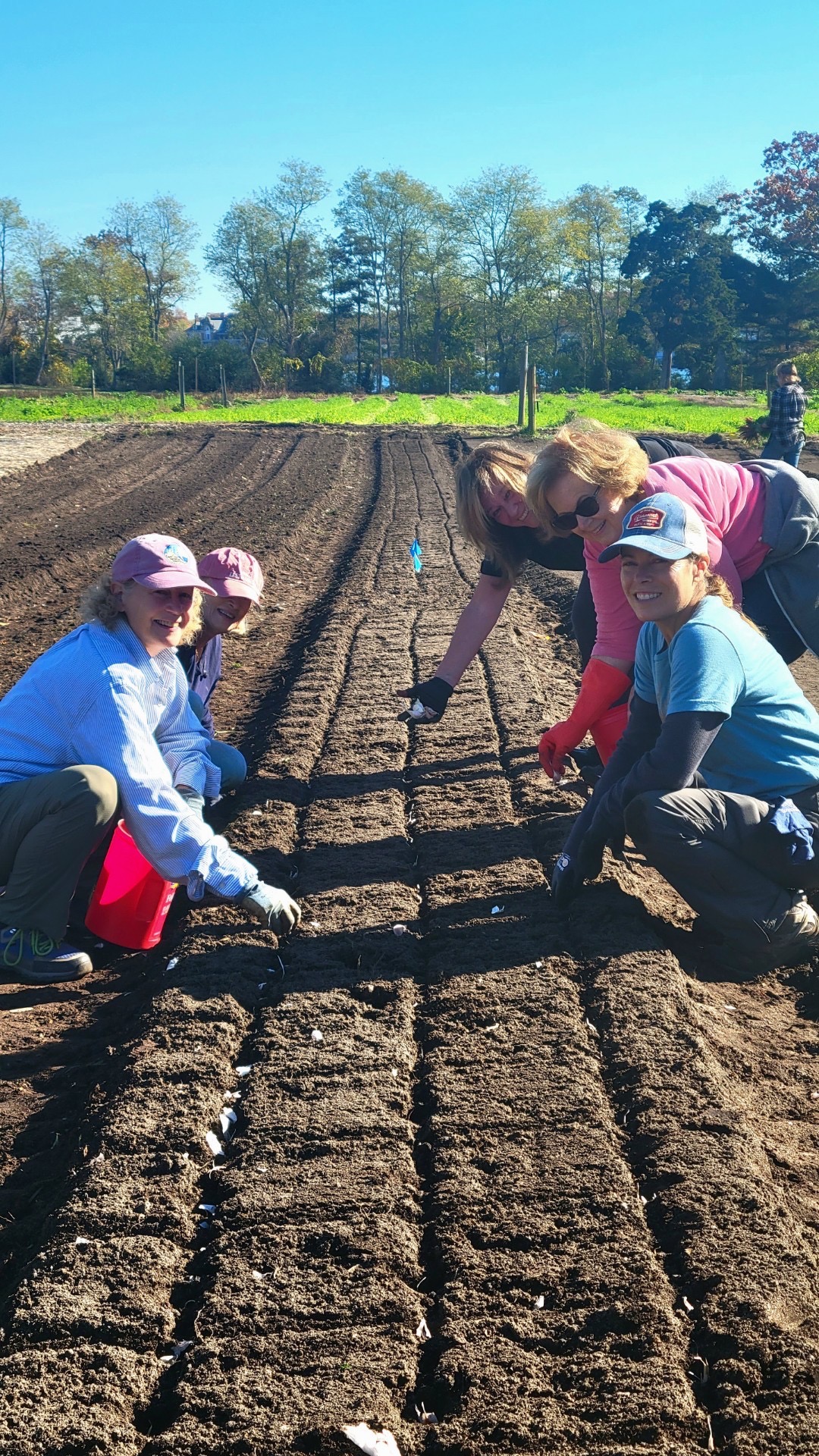 Bayard Cutting CSA Farm