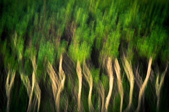 Difference between seeing and SEEing