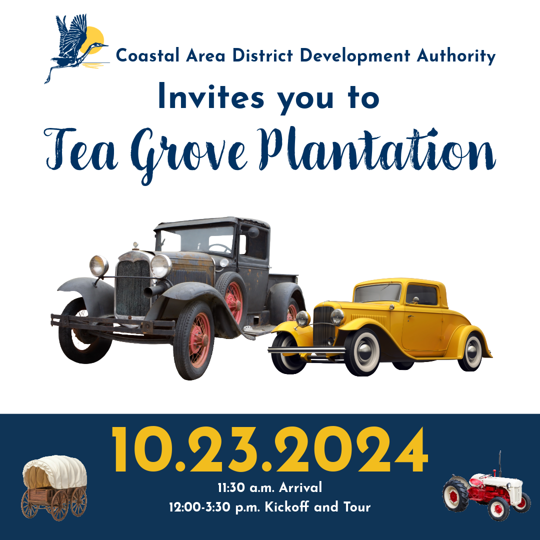 Tea Grove Plantation